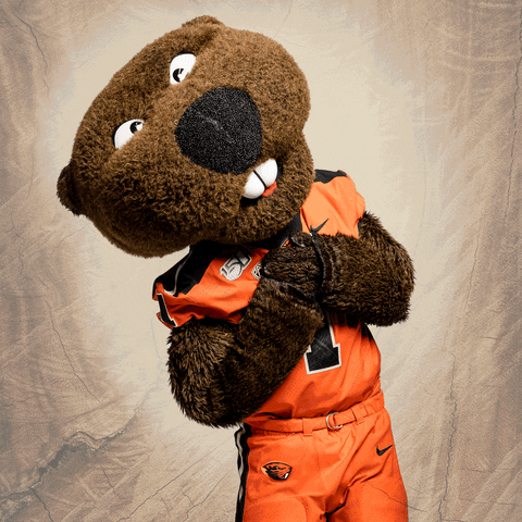 Crime-fighting-beaver GIFs - Get the best GIF on GIPHY