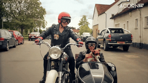Motorcycle Sidecar GIFs - Get the best GIF on GIPHY
