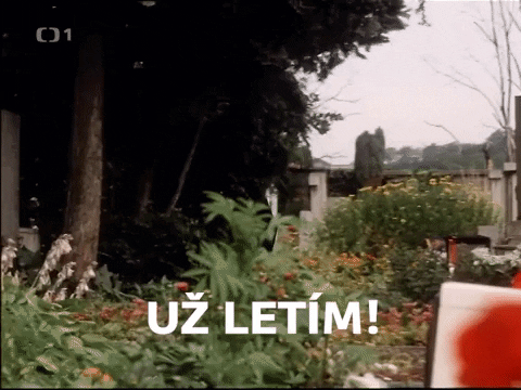 Zachvilicku GIFs - Get the best GIF on GIPHY