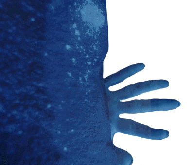 Nothing GIFs on GIPHY - Be Animated