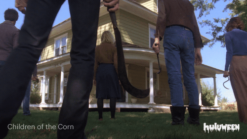 Children Of The Corn Fear GIF by HULU - Find & Share on GIPHY