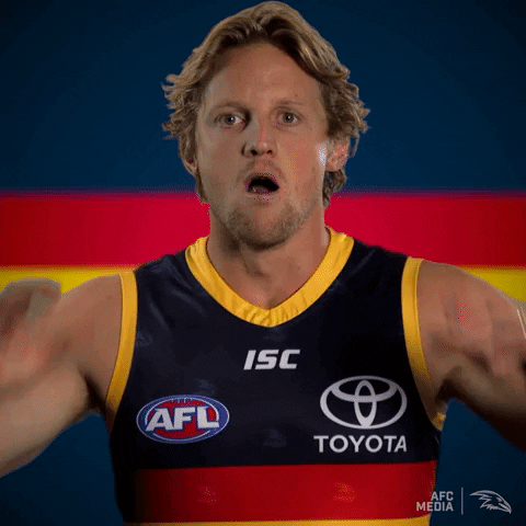 Rory Sloane Afl GIF by Adelaide Crows - Find & Share on GIPHY