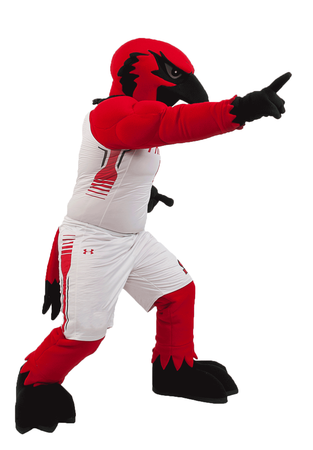 Mascot Falcon Sticker by Fanshawe College for iOS & Android | GIPHY