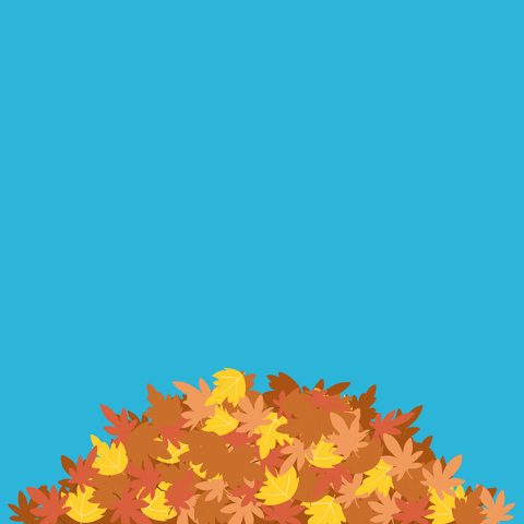 Jumping In Leaves GIFs - Get the best GIF on GIPHY