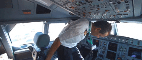 Viajar Cabin Crew GIF by Iberojet - Find & Share on GIPHY