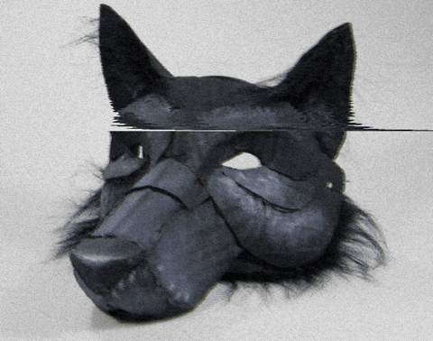 GIF Test GIFs on GIPHY - Be Animated