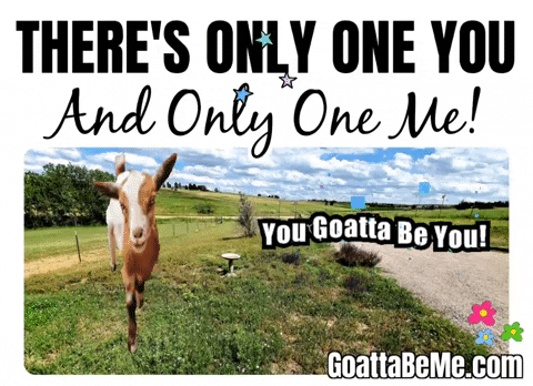 Youre The Only One For Me GIFs - Get the best GIF on GIPHY