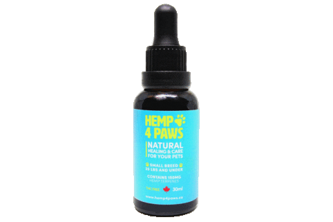 Hemp 4 Paws GIFs on GIPHY - Be Animated