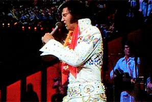 Fat Elvis GIFs - Get the best GIF on GIPHY