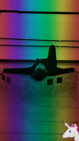 Why Hello Jill GIFs - Get the best GIF on GIPHY