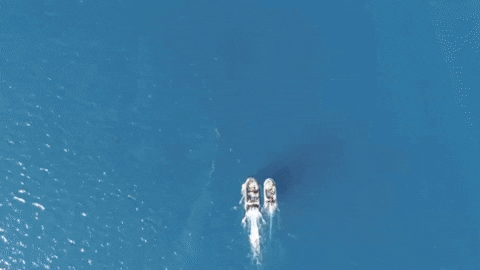 Ocean Top View Gif
