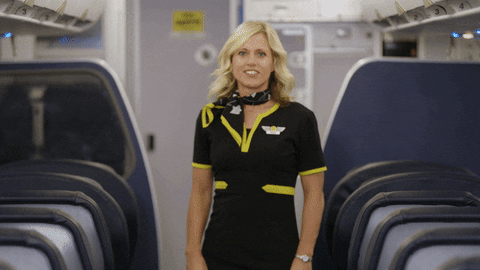 Spirit Airlines GIF - Find & Share on GIPHY