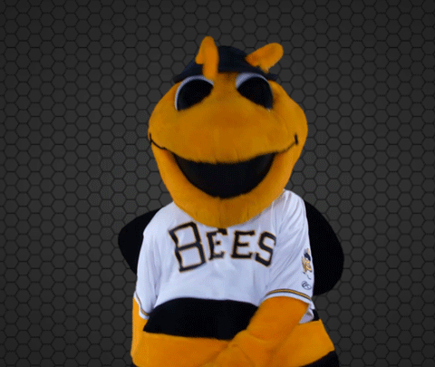 Salt Lake Bees GIF - Find & Share on GIPHY
