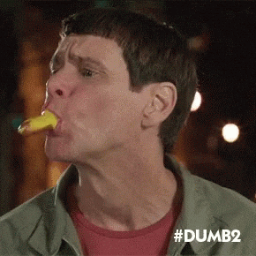 Dumb And Dumber by Jim Carrey | GIPHY