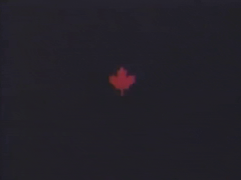 Maple Leaf Canada GIF by Ottawa International Animation Festival - Find ...