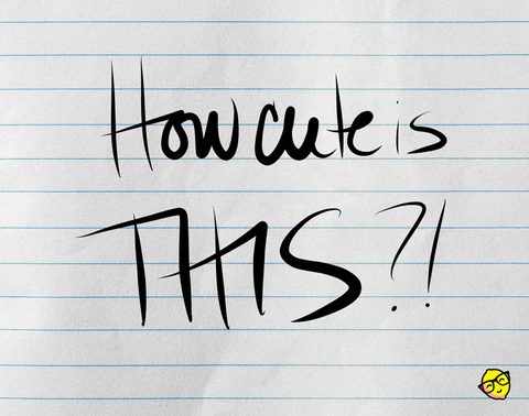This Looks Super Cute GIFs - Get the best GIF on GIPHY