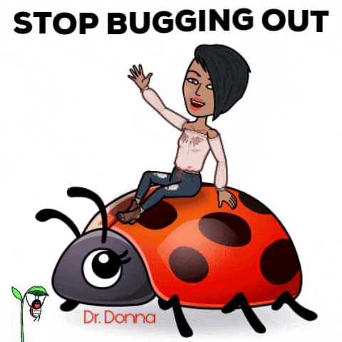 Stop Punny GIFs - Get the best GIF on GIPHY