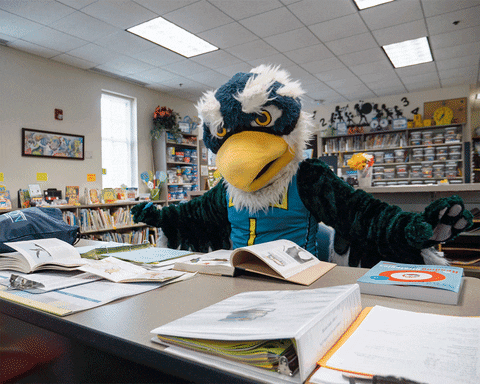 Seahawks Sammy GIF by UNCW Alumni Association - Find & Share on GIPHY