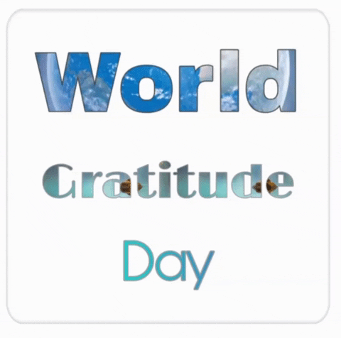 Gratitude Day GIFs - Get the best GIF on GIPHY