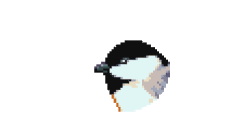 Black-Capped Chickadee Singing Sticker by Rolitae for iOS & Android | GIPHY