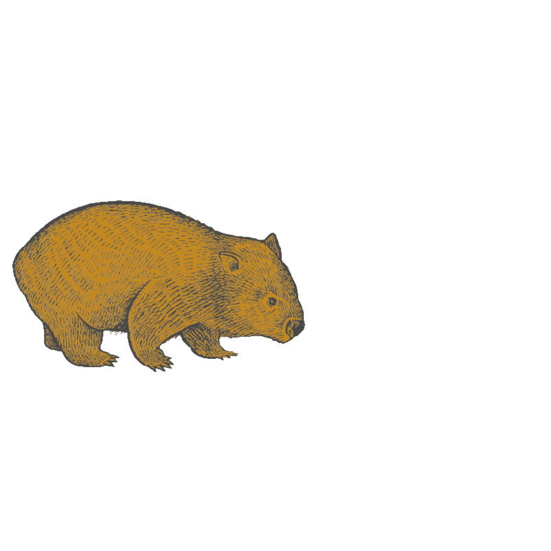 Elizabeth Wombat Sticker by Pan MacMillan for iOS & Android | GIPHY