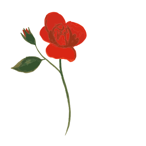 Red Rose Flower Gif Images | Best Flower Site