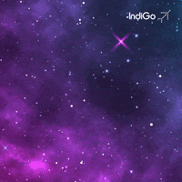 IndiGo Airlines GIF - Find & Share on GIPHY
