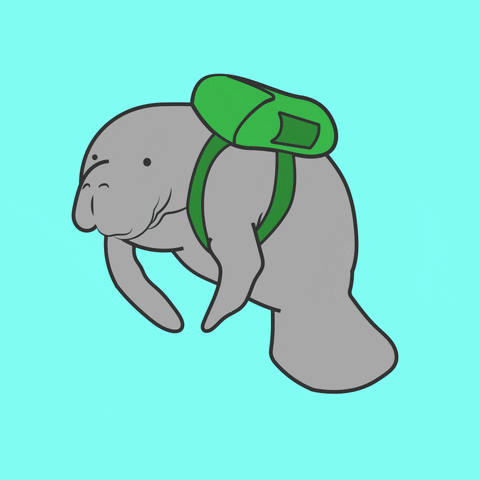 Manatee Backpack GIFs - Get the best GIF on GIPHY