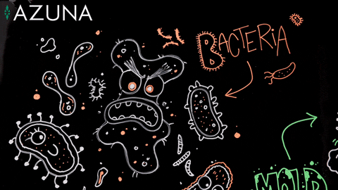 Tea Tree Bacteria GIF by AzunaFresh - Find & Share on GIPHY