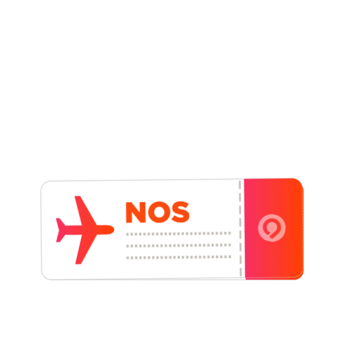 Boarding Pass Sticker by Almundo for iOS & Android | GIPHY