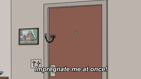 Fox-books GIFs - Get the best GIF on GIPHY