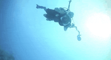 U.S. Navy GIFs on GIPHY - Be Animated
