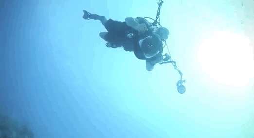 Picture Photographer GIF by U.S. Navy - Find & Share on GIPHY