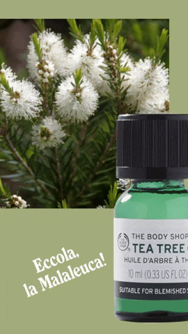 Antiseptic GIFs - Find & Share on GIPHY