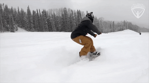 Snowboarding Winter Sports GIF by All-Round Champion - Find & Share on ...