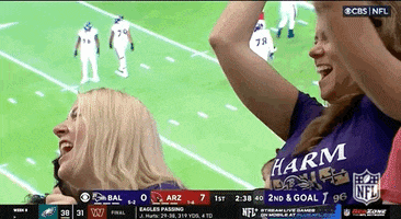 Baltimore Ravens GIFs on GIPHY - Be Animated
