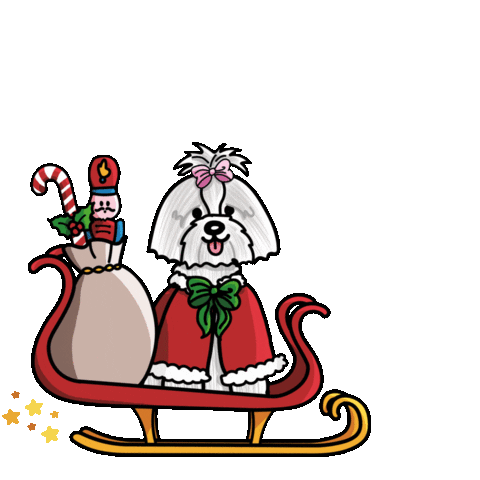 Maltese GIFs on GIPHY - Be Animated