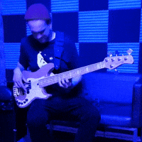 The Bass Player GIFs - Find & Share on GIPHY