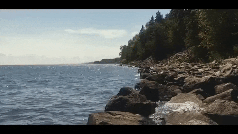 Twin Cities Minnesota GIF - Find & Share on GIPHY