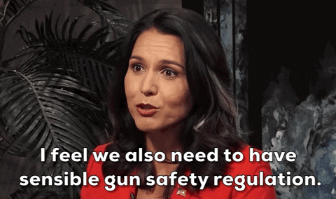 2020 Election Gun Control GIF - Find & Share on GIPHY