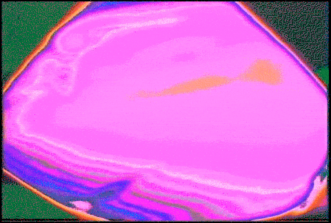 Video Art GIF by cskonopka - Find & Share on GIPHY