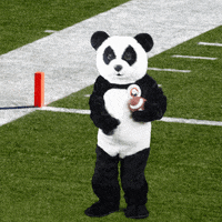 Animated Dancing Panda Gif