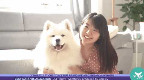 Data Visualizations GIFs - Get the best GIF on GIPHY