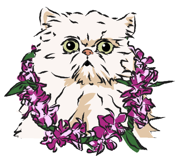 Aloha Persians GIFs on GIPHY - Be Animated