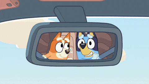Rearview Mirror GIFs - Get the best GIF on GIPHY