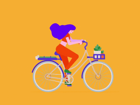 GIF - Find & Share on GIPHY