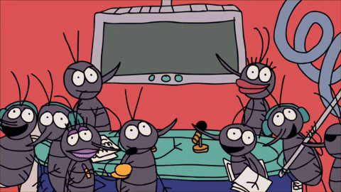 Flea Finds GIFs - Get the best GIF on GIPHY