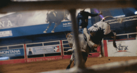 Country Music Cowboy GIF by Sub Pop Records - Find & Share on GIPHY