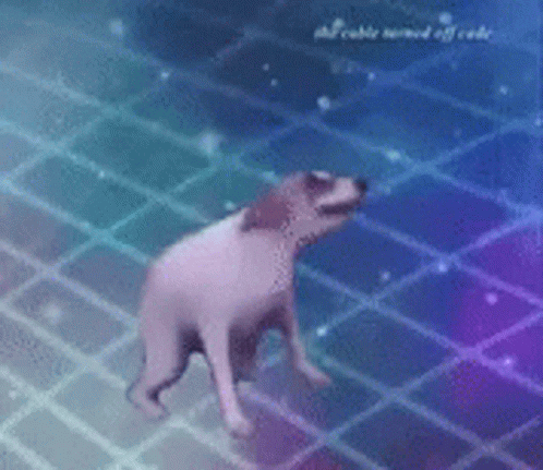 funny, reaction, dog, trippy, mood – GIF
