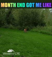 Funny Running Dog Gif